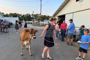 Ashland County Fair 2024 Set to Delight with Week-Long Extravaganza ...